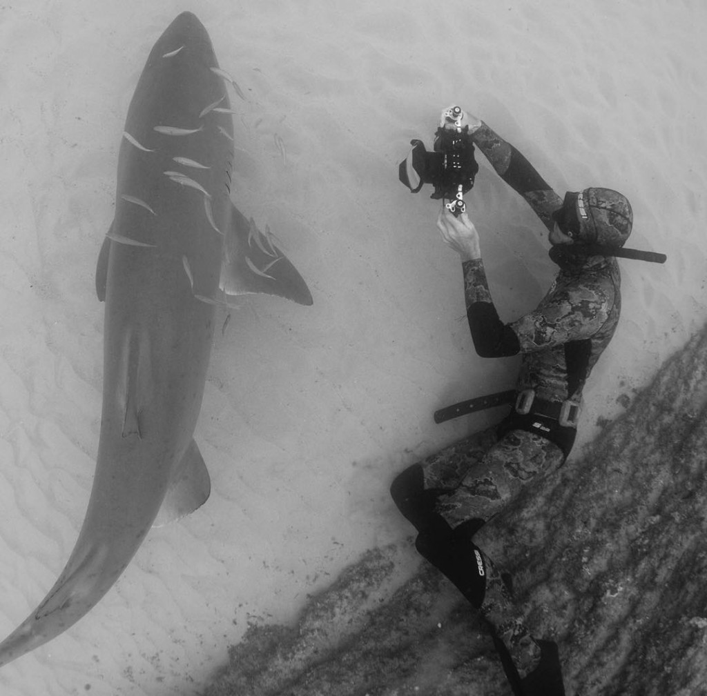 Learn to Dive Gold Coast | PADI Freediving Course